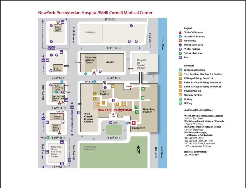 Contact Us – New Developments in Lymphoma